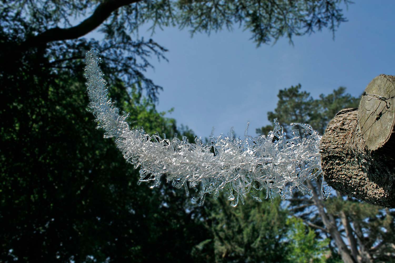 Ghost | Zac Greening - Artist